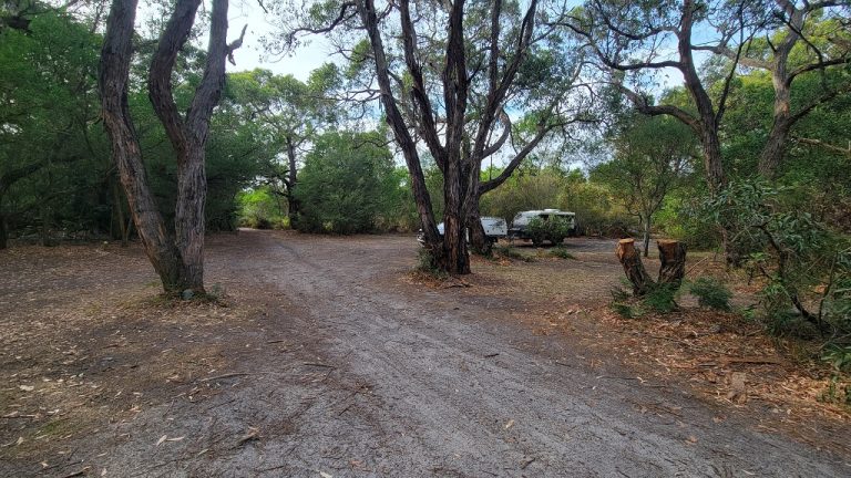 Shallow Inlet Campground - Road Trip Nomads